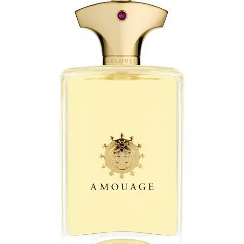 Top 10 Best Amouage perfumes : Ultimate Buyer Guide in April 2026