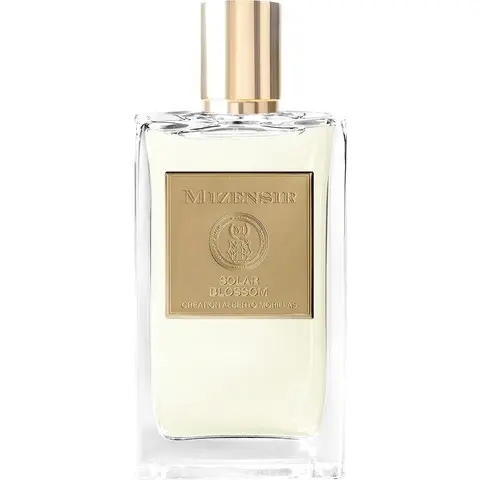 Top 10 Best Mizensir perfumes : Ultimate Buyer Guide in March 2025